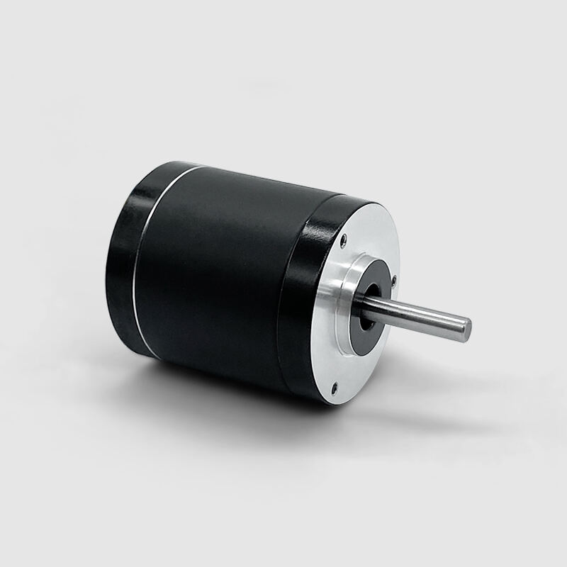 42BLY series BLDC motor | BLDC Motors